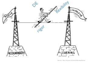 What is a Developmental Evaluation? (101 Level) | Headlight Consulting ...