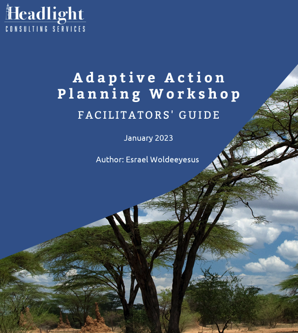 Adaptive Action Planning Workshop: the What, Why, and How? | Headlight ...